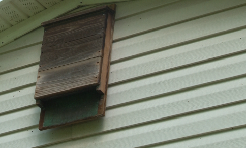 How bat houses are helping fight Zika virus | king5.com