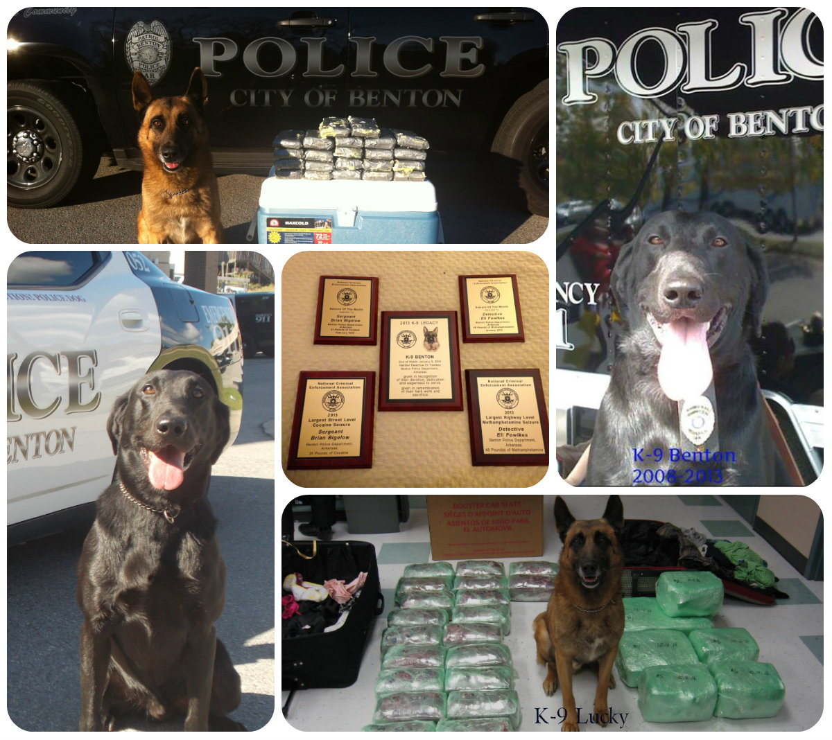 BNPD K-9 officers receive national recognition | thv11.com