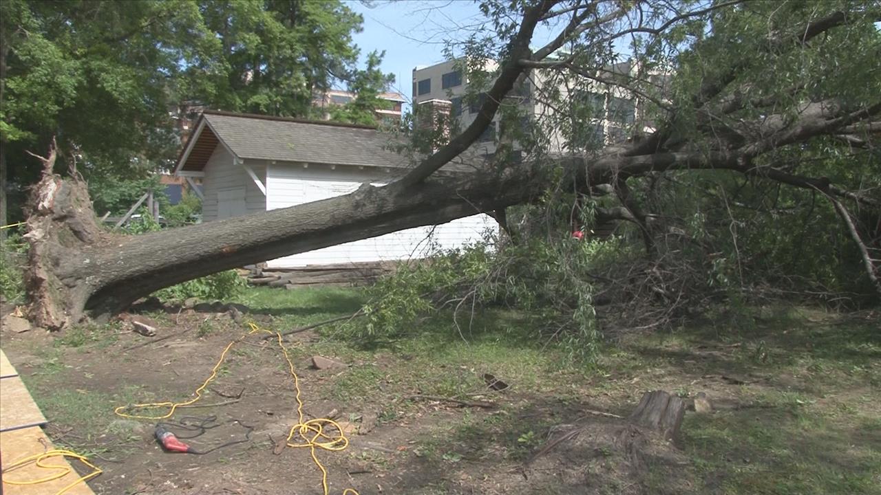Historic Arkansas Museum damaged by trees | thv11.com