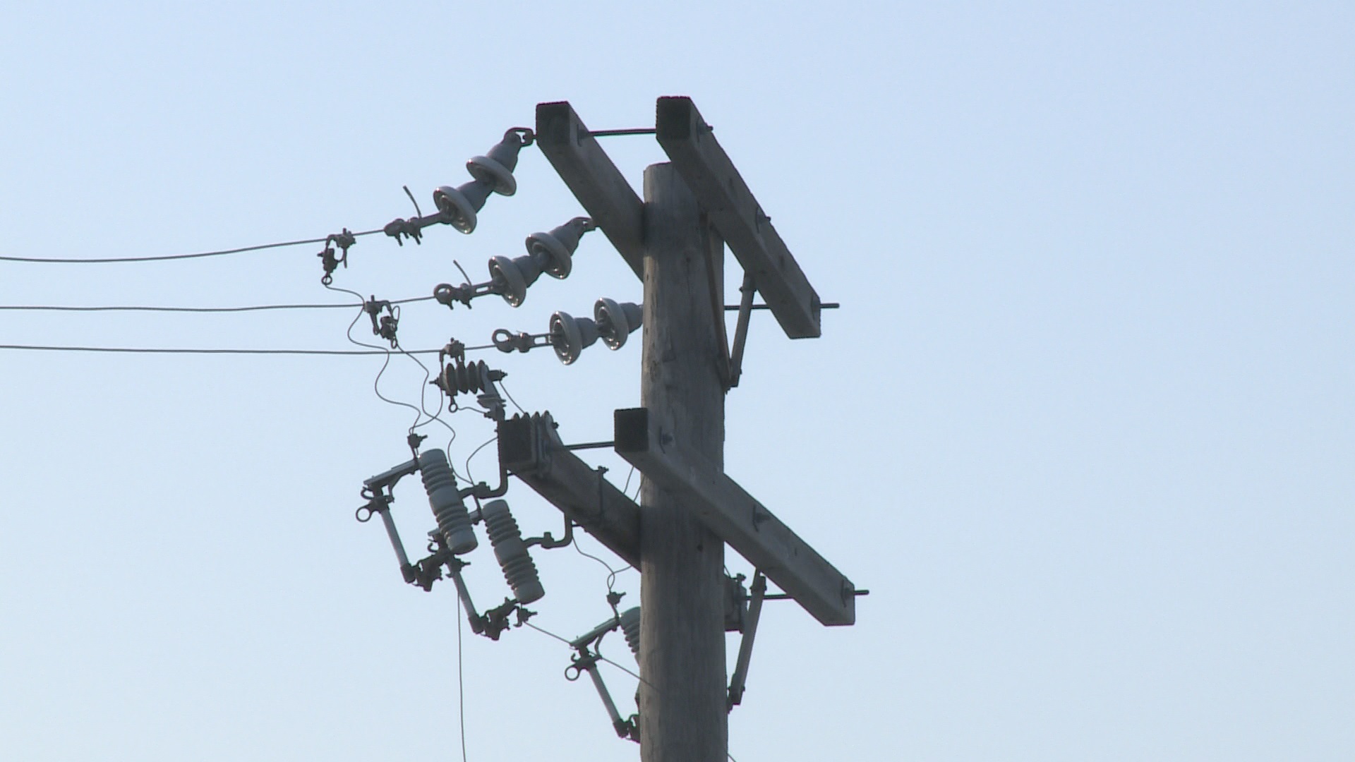 Nearly 7,000 customers without power after bird flies into transformers ...