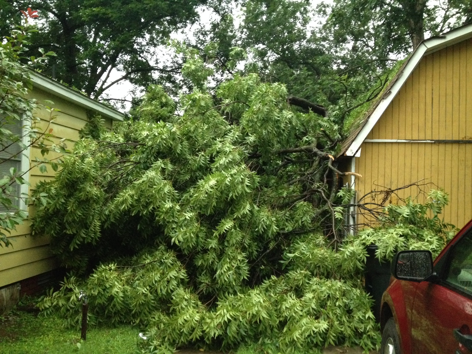 Tree falls on shed nearly missing home | thv11.com