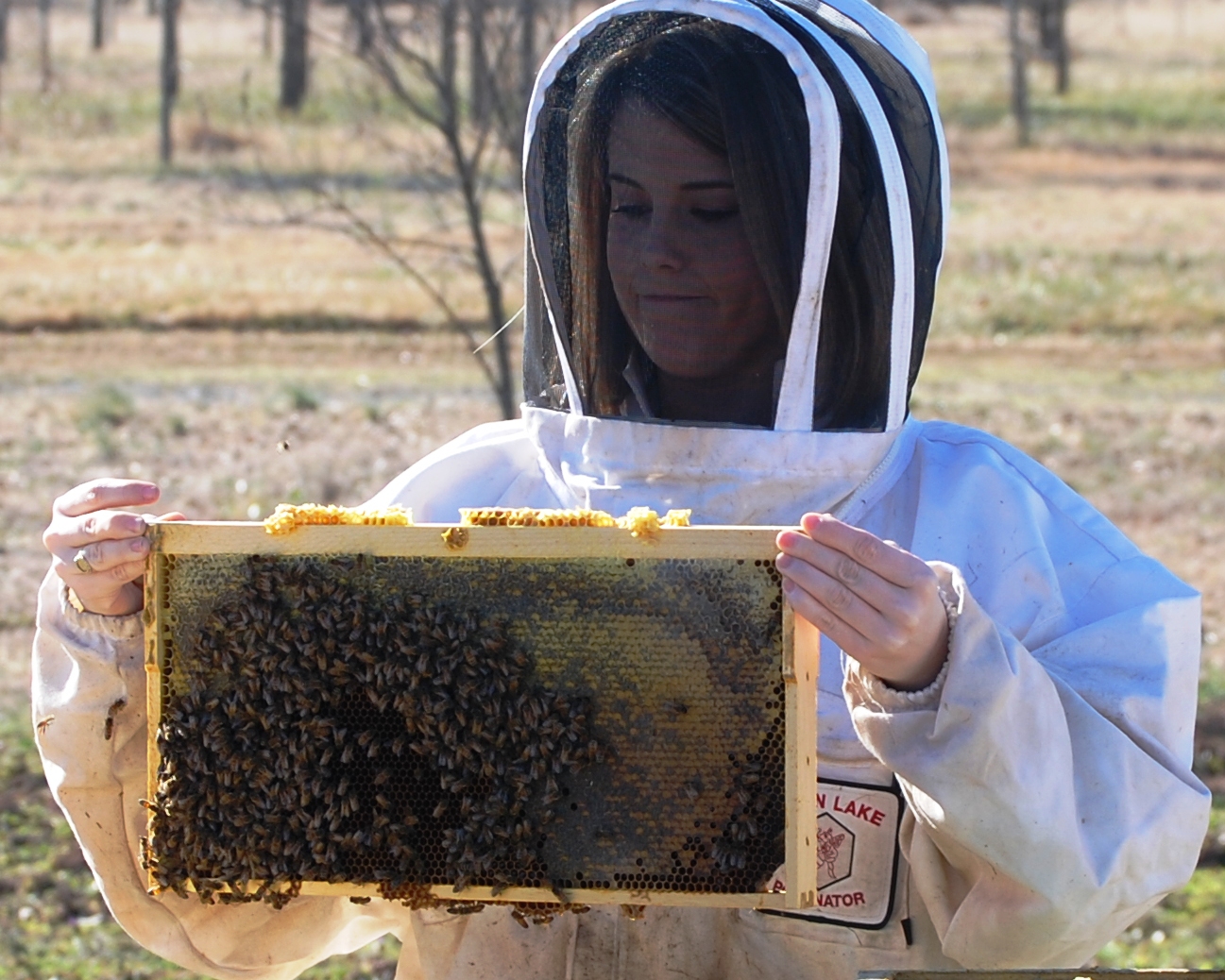 Sharing Life: An inside look at Sarah's experience with honeybees ...