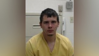 15-day-old dies from physical abuse | thv11.com