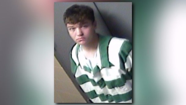 Teen pleads guilty in grandparents' murders | abc10.com
