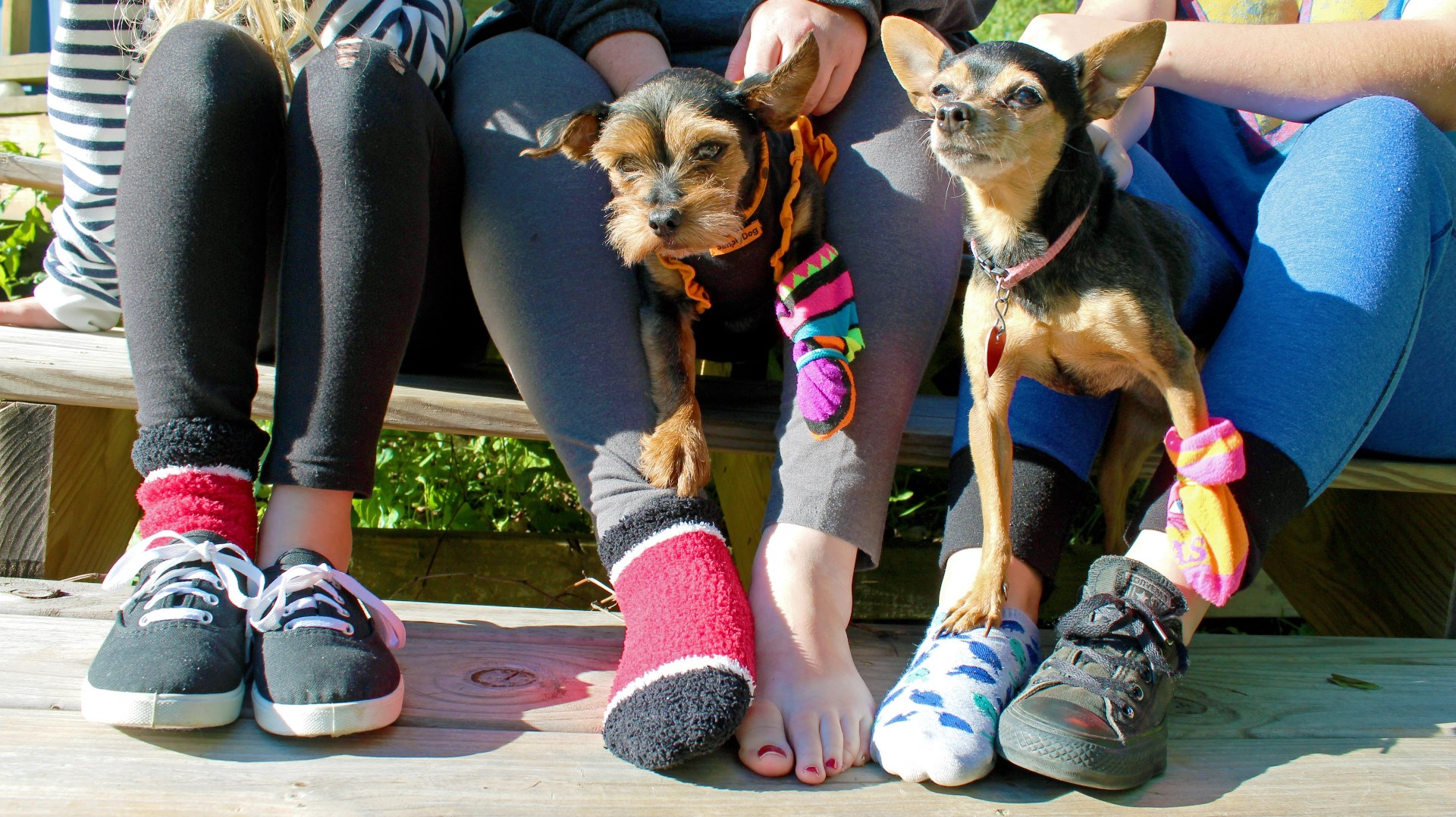 BNPD taking part in #RockOneSock campaign for missing children | thv11.com