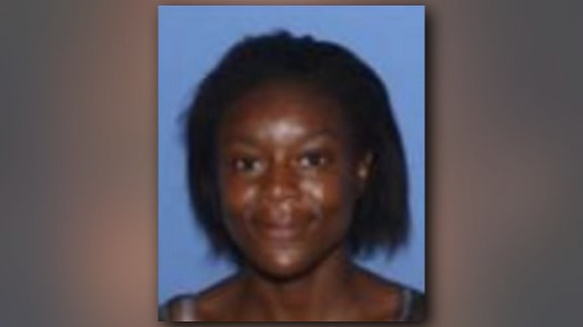 Police searching for missing Little Rock homeless woman | thv11.com